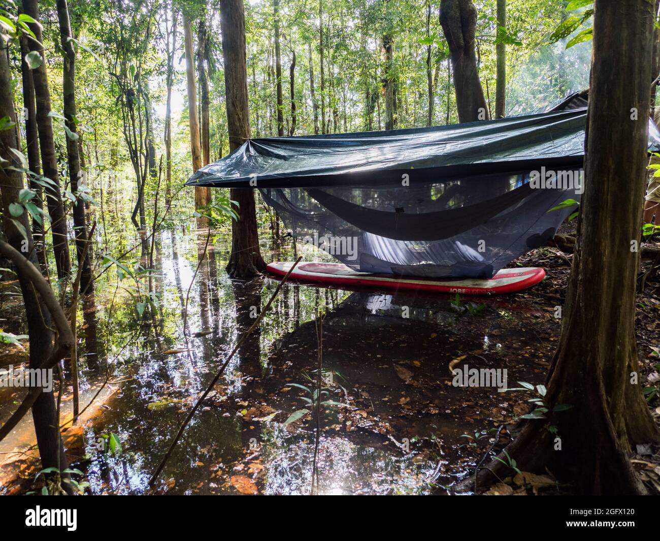 Jungle, Brazil - Dec 2019: Camp with hammocks in the amazon jungle ...