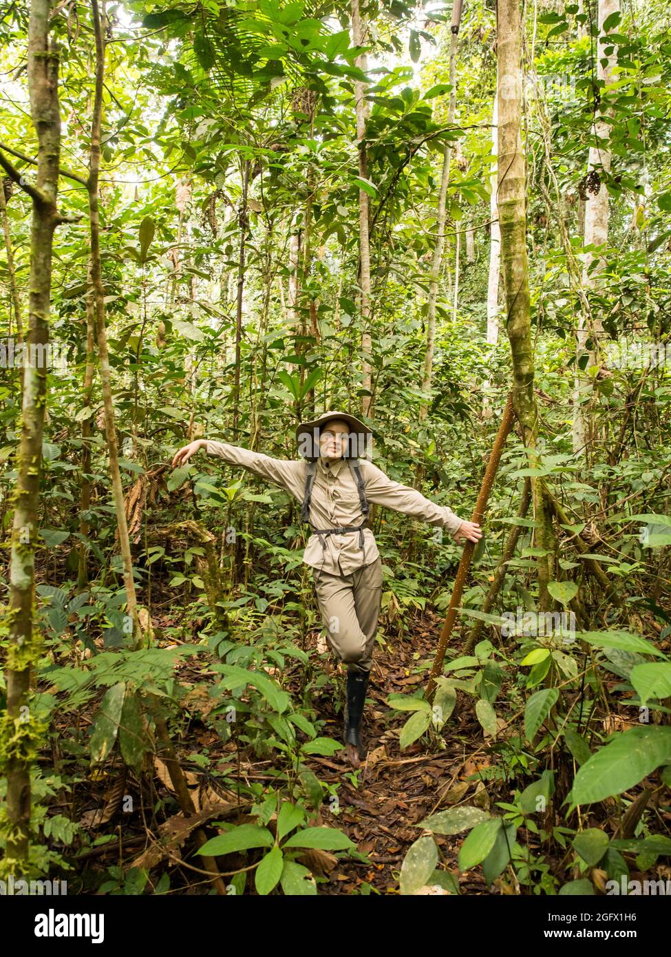 Selva, Peru - Maj, 2016: Trekking in Amzon rain forest. Amazonian ...