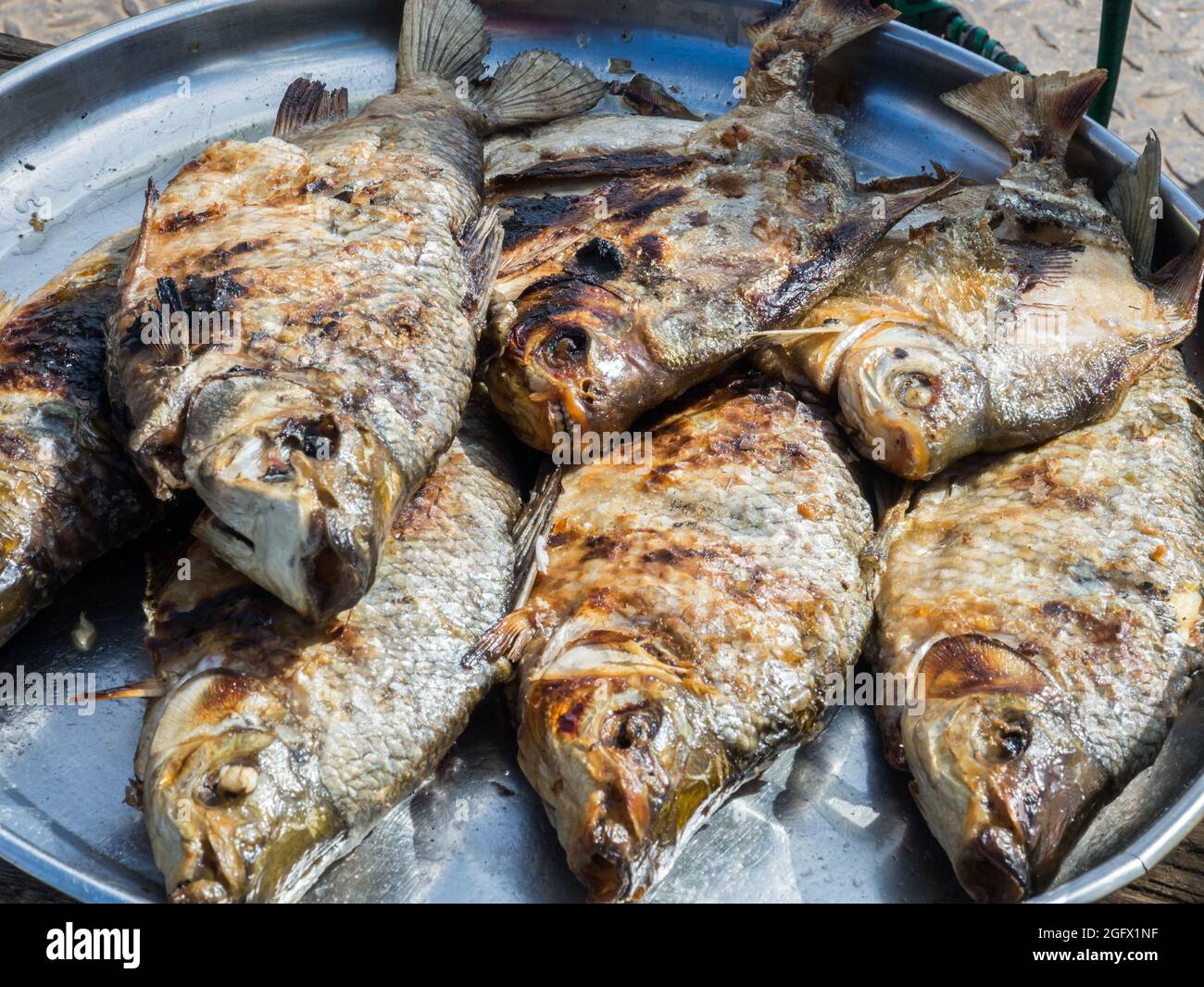 Baked fish brought by a vendor freshly caught in the Amazon River ...
