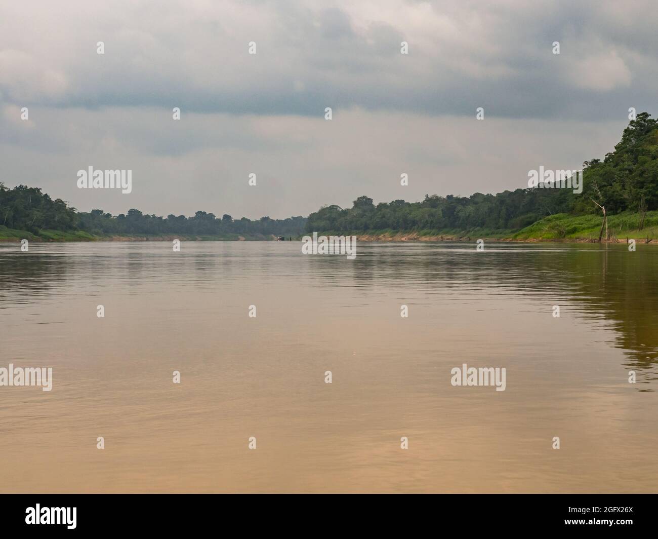 View for Javari River, the tributary of the Amazon River. Amazonia ...
