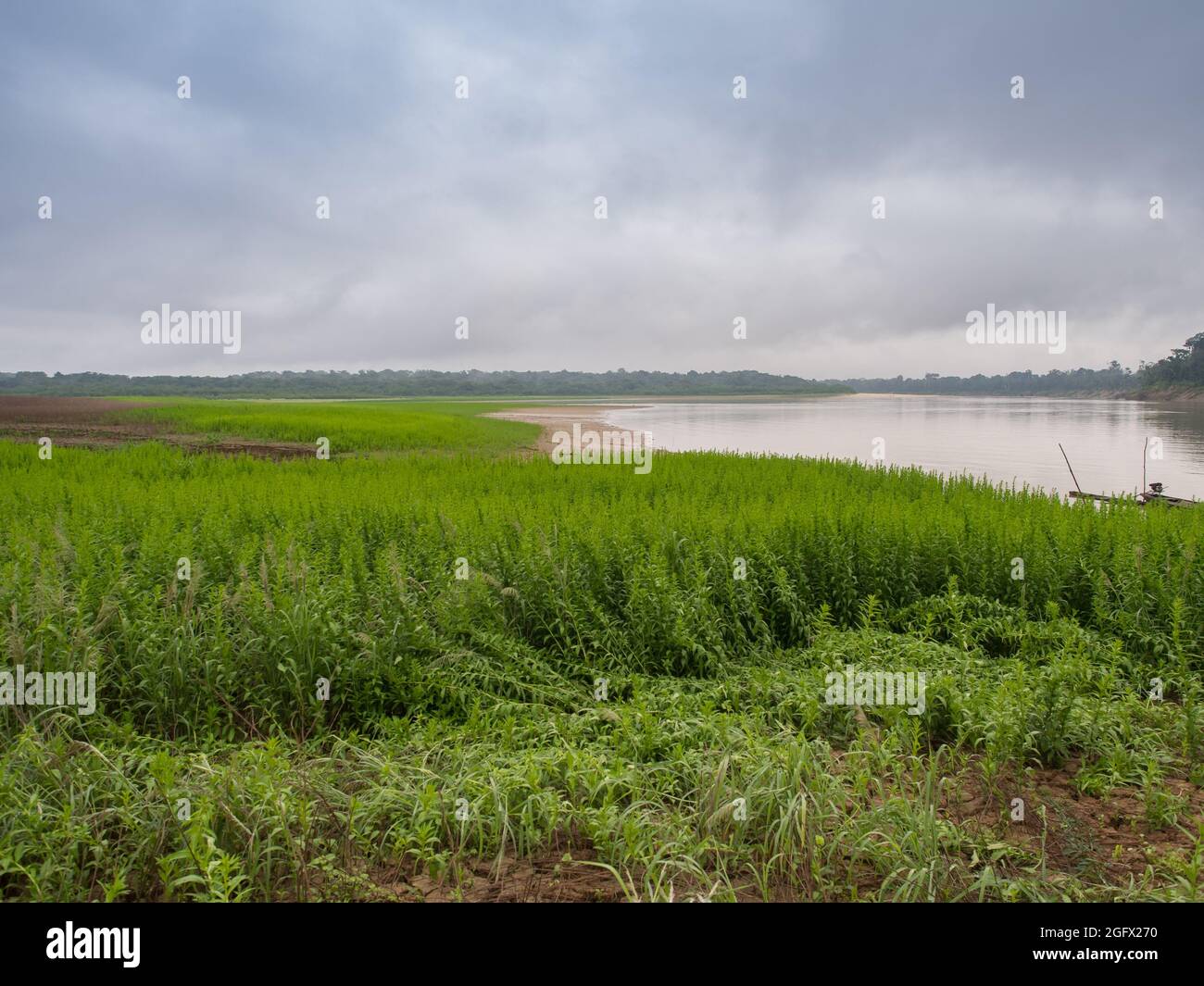 View for Javari River, the tributary of the Amazon River during low ...