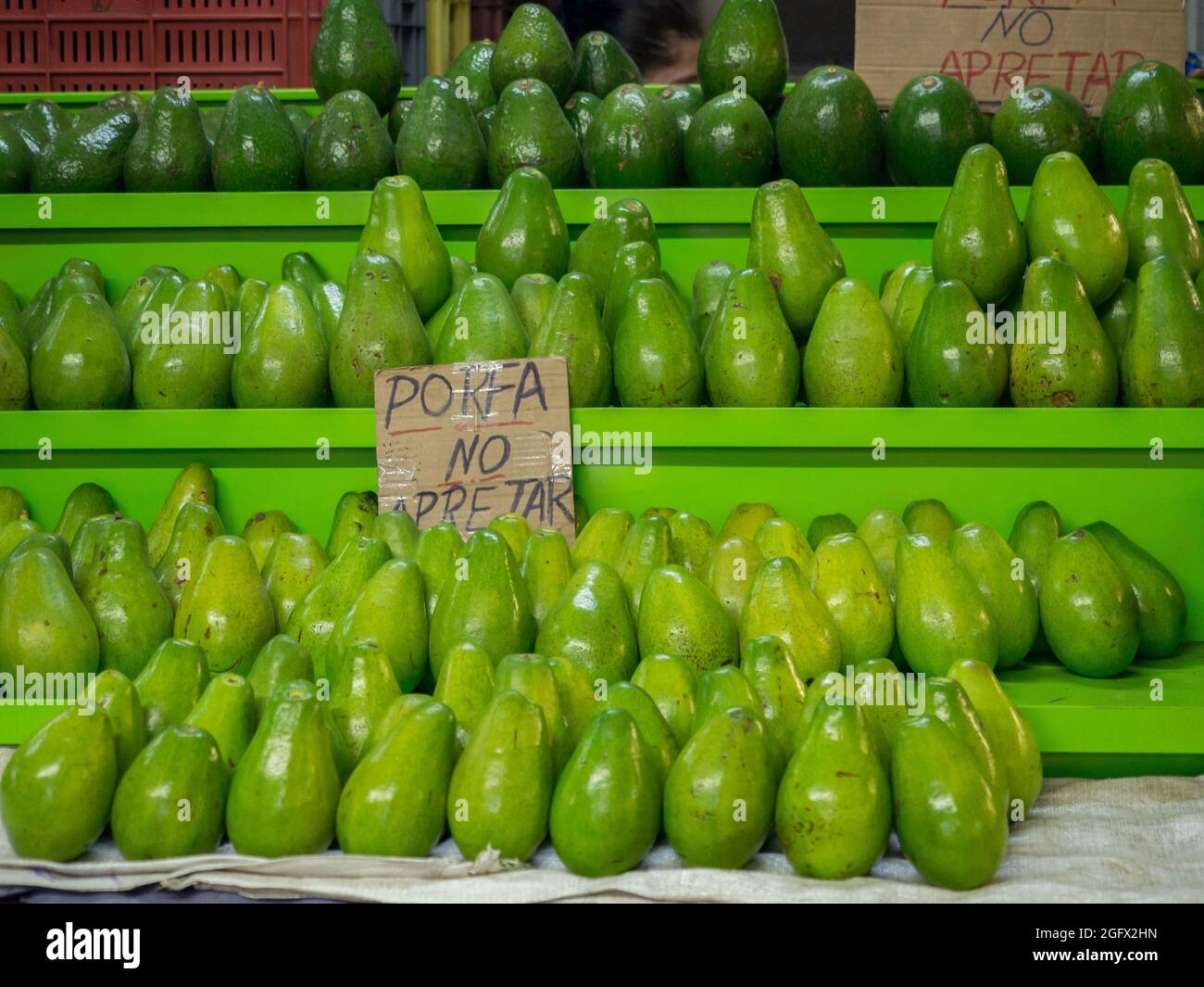 Bogota, Colombia - Sep 2017: Huge avocado on at Paloquemao Market ...