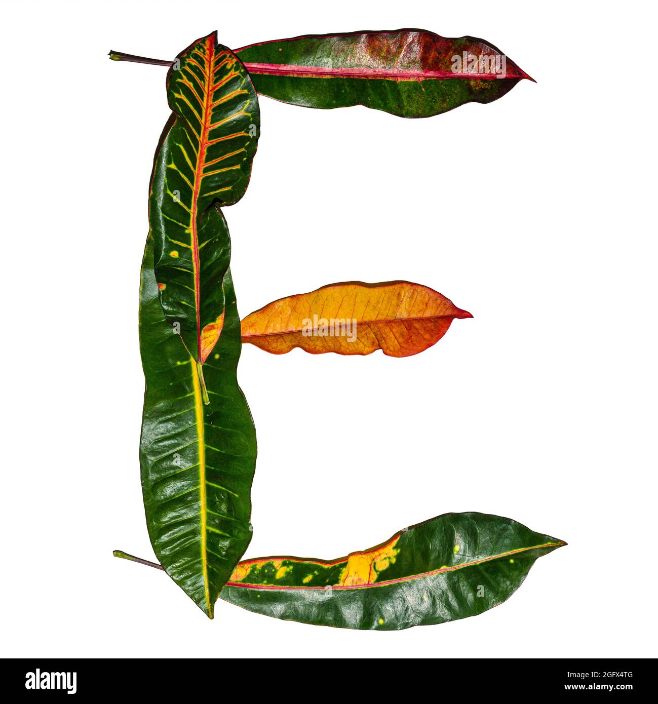 Season e Cut Out Stock Images & Pictures - Alamy