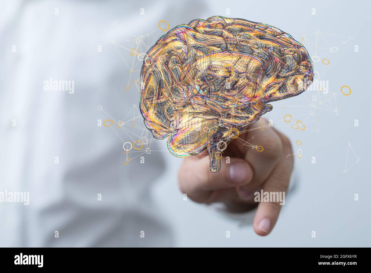Anatomía cerebro hi-res stock photography and images - Alamy