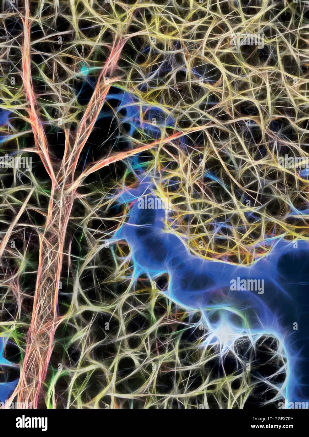 close up fractal pattern for background Stock Vector Image & Art - Alamy