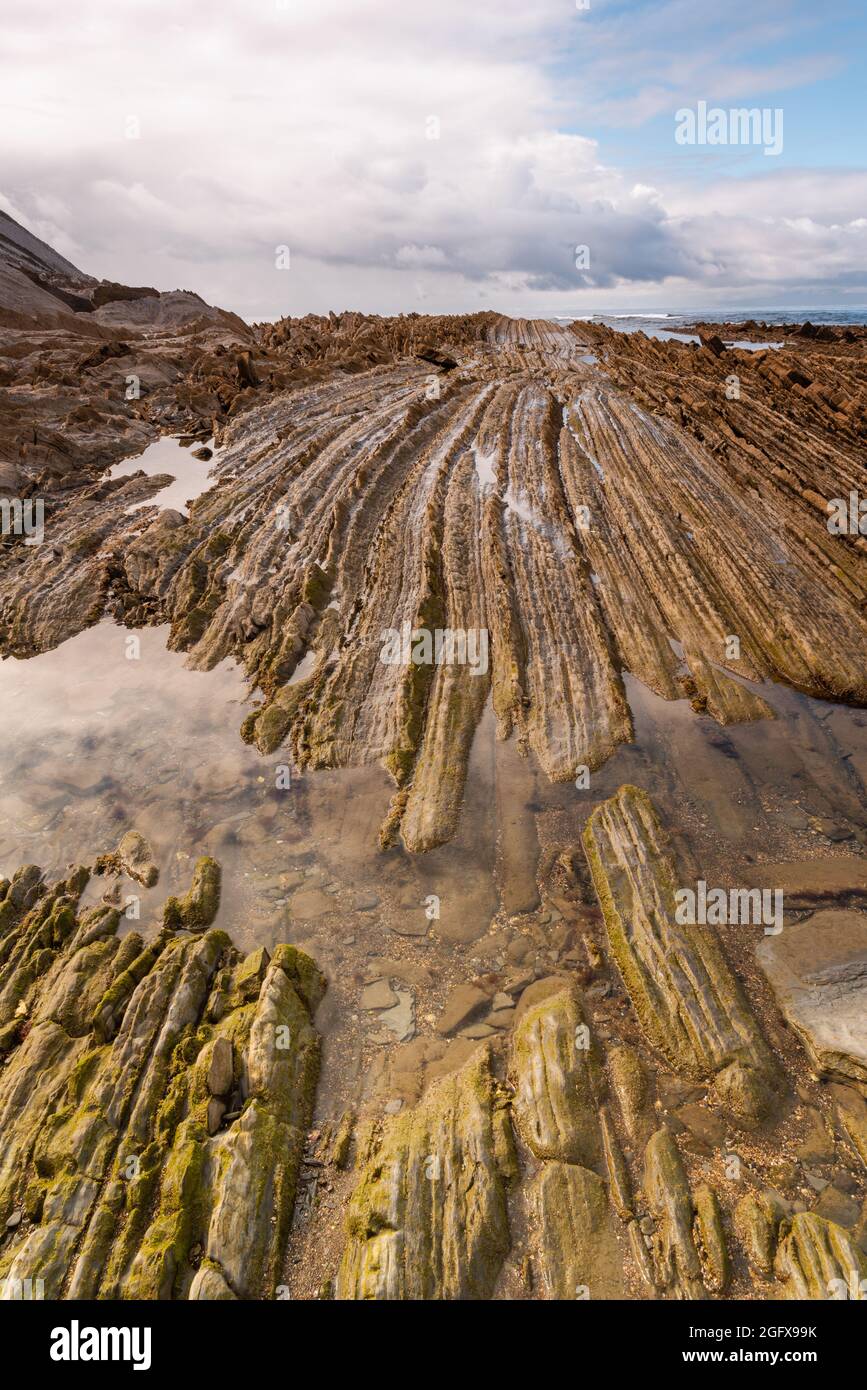 Flysch in basque country coast Stock Photo - Alamy