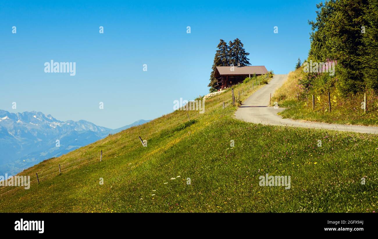Concrete mountain road going uphill between Alpine meadows in the swiss ...