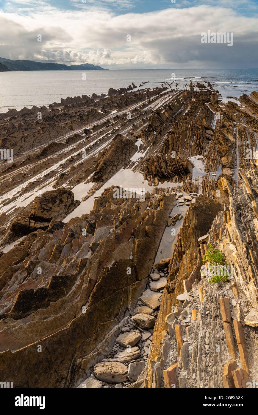 Flysch in basque country coast Stock Photo - Alamy