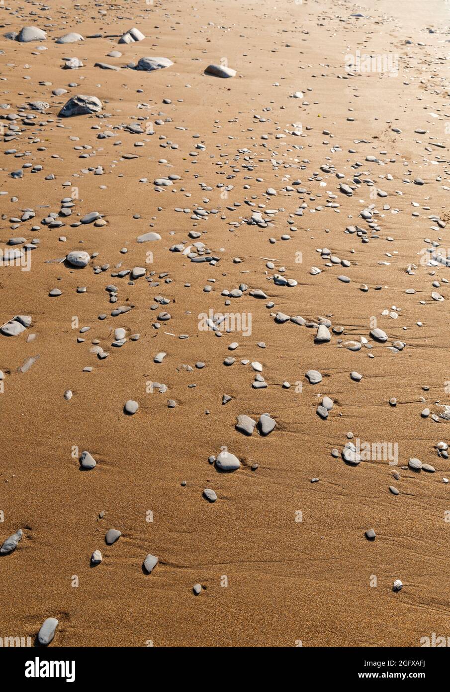 backlit round pebble on a beach Stock Photo - Alamy
