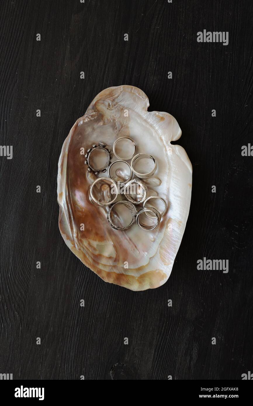 Silver rings of various design placed in seashell placed black wooden ...