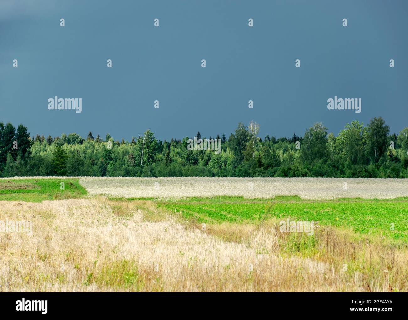 rural landscape with storm clouds, contrasting colors in nature before ...
