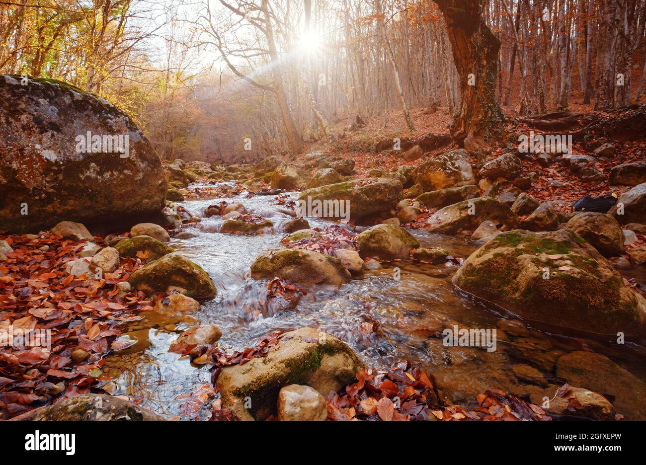 Autumn forest river creek view. Creek from the mountain waterfall in ...