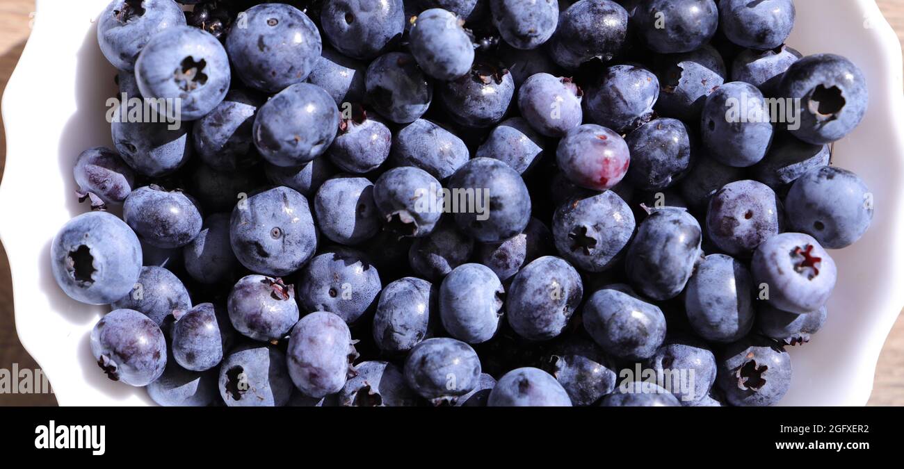 lots of fresh blueberries as a background Stock Photo - Alamy
