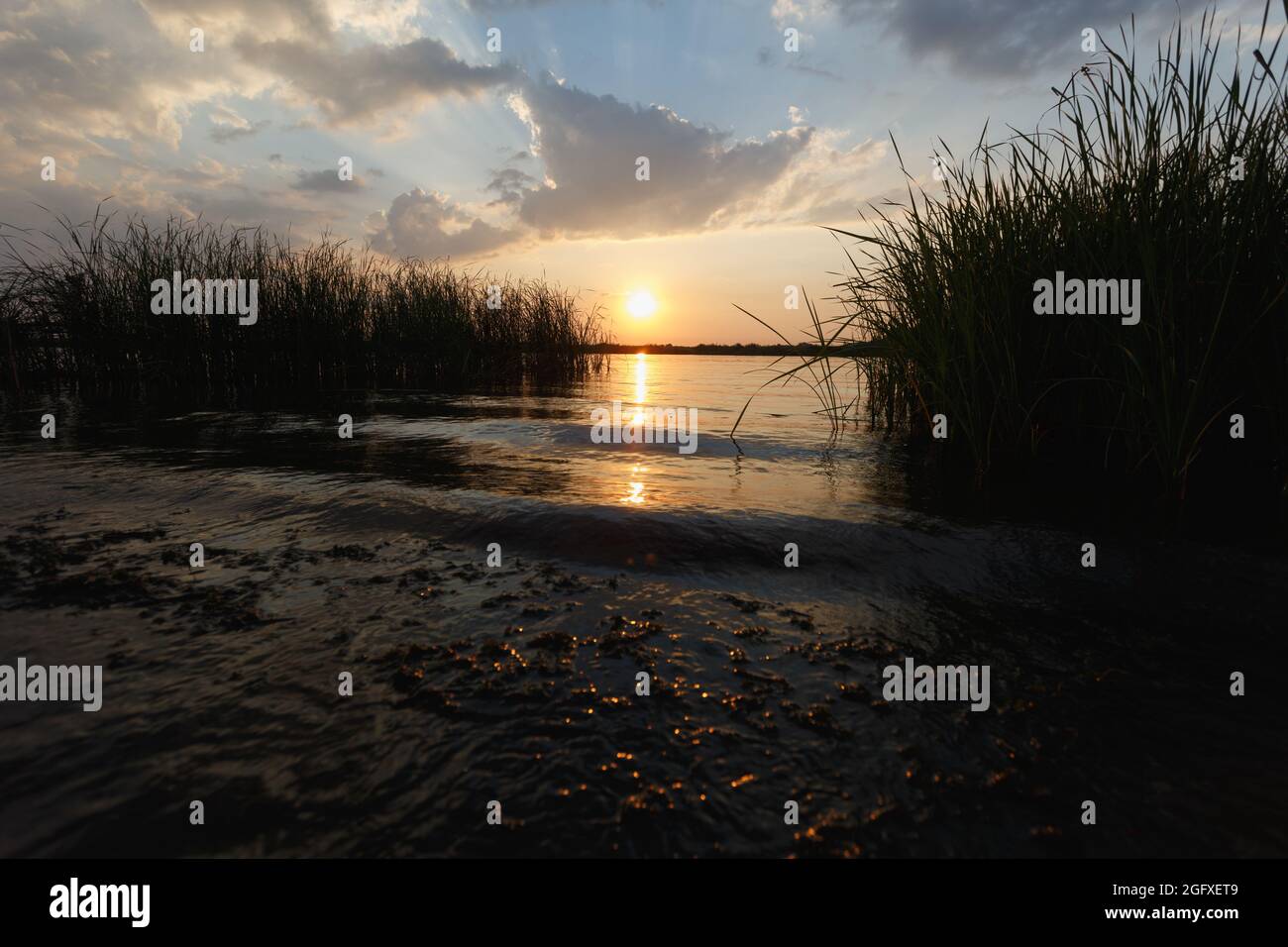 Summer sunset on the river Stock Photo - Alamy