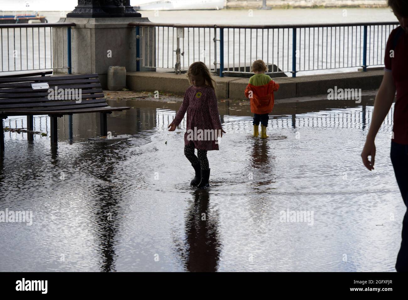 Climate Change in South London and Flooding the pathways Stock Photo ...