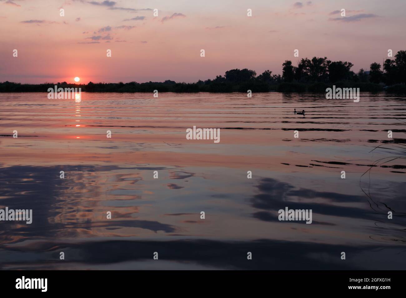 Scarlet sunset on the river, summer time Stock Photo - Alamy