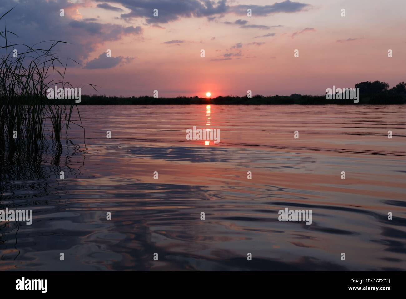 Scarlet sunset on the river, summer time Stock Photo - Alamy