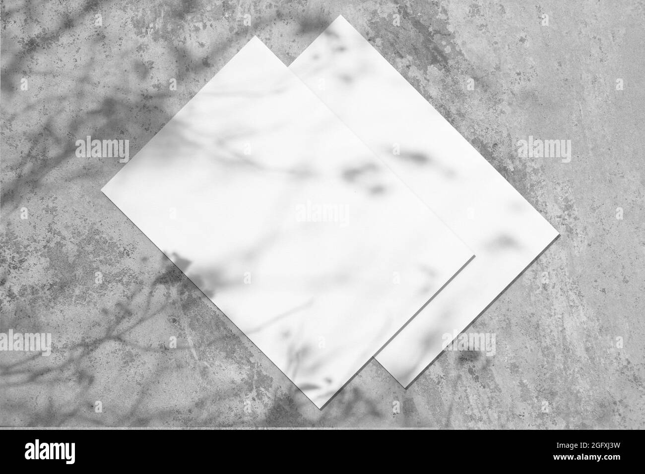 Two empty white rectangle poster diagonal mockups with tree shadow ...