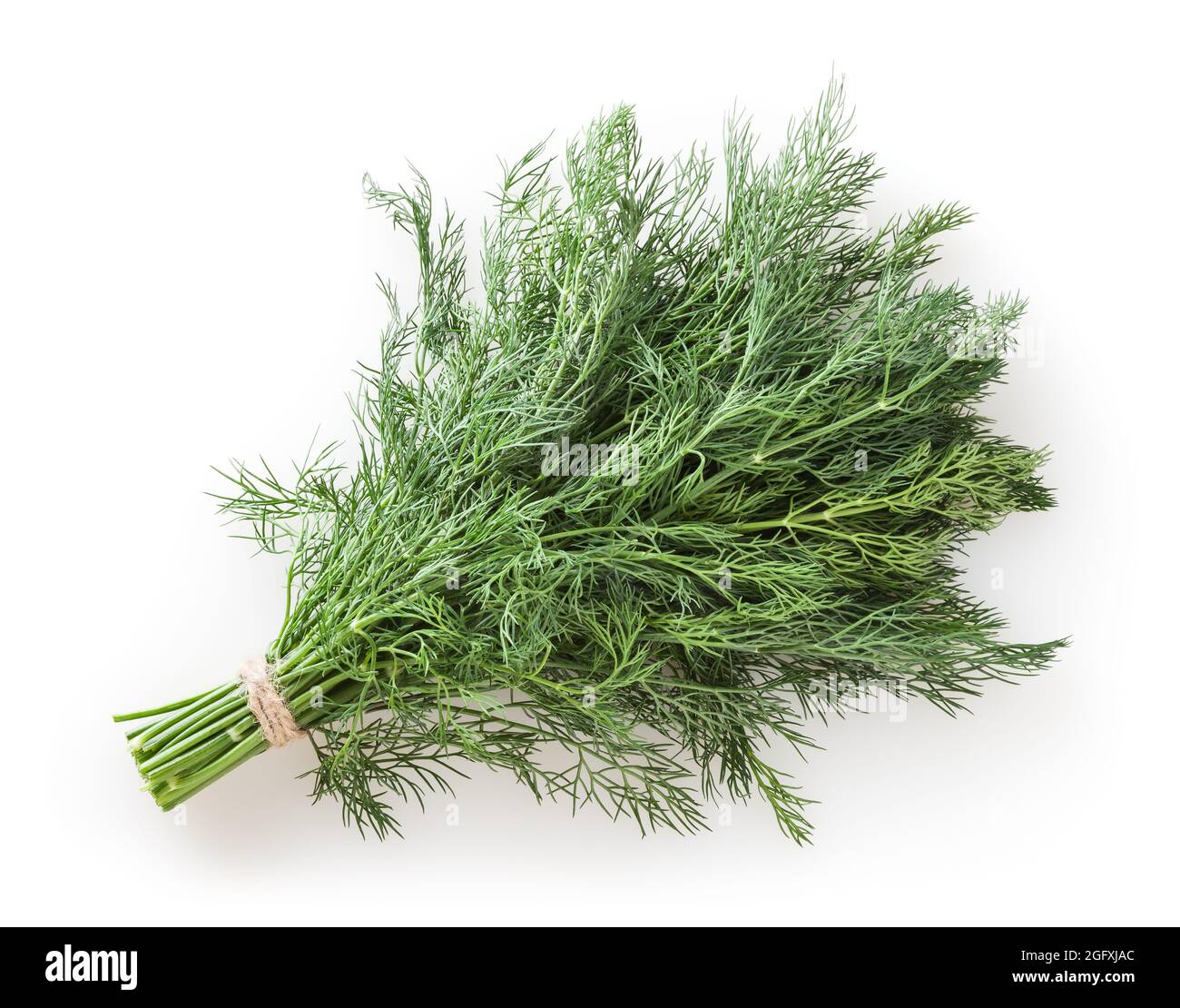 Bunch fresh dill top view Cut Out Stock Images & Pictures - Alamy