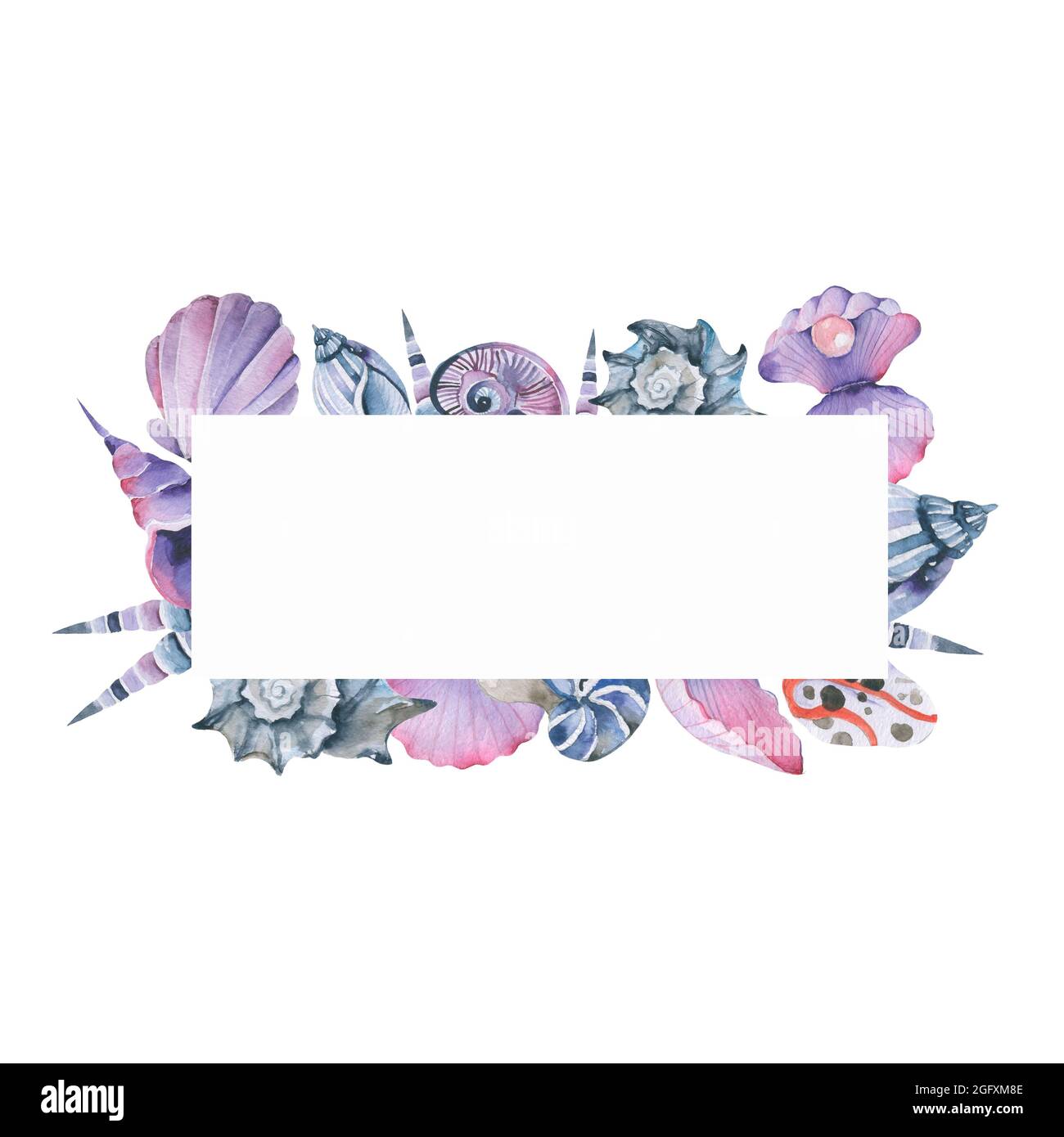 Sealife Frame Seashell background sea shells illustration Stock Photo ...