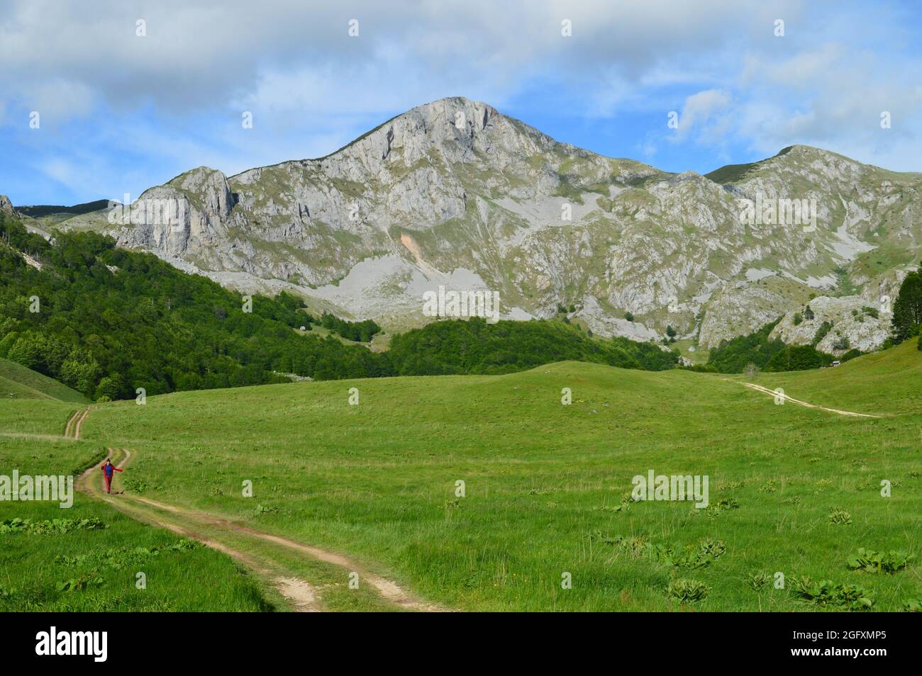 A hiking trail on Zelengora mountain, Bosnia Stock Photo - Alamy
