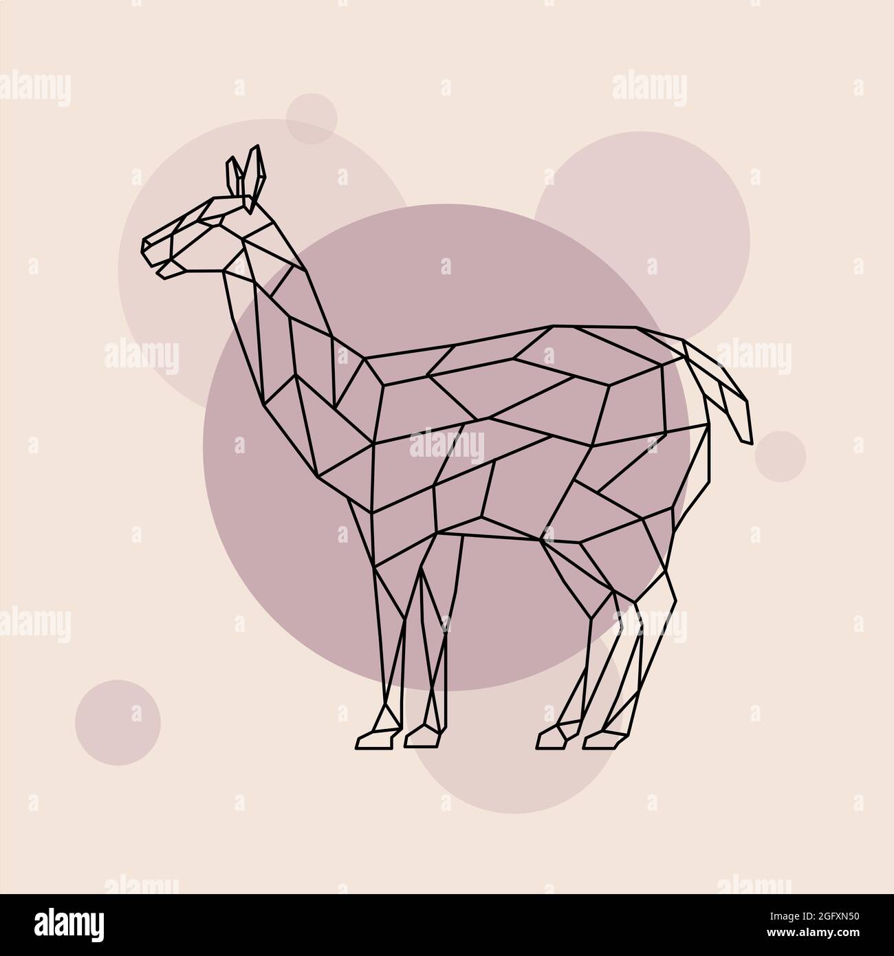 Side view of alpaca Stock Vector Images - Alamy
