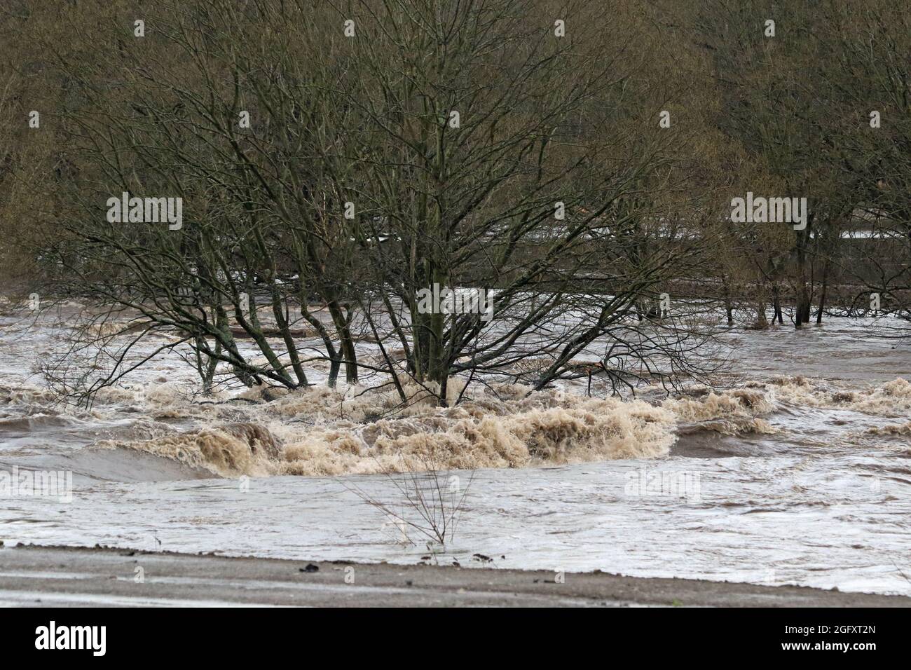 Flood images from the river Calder Stock Photo - Alamy
