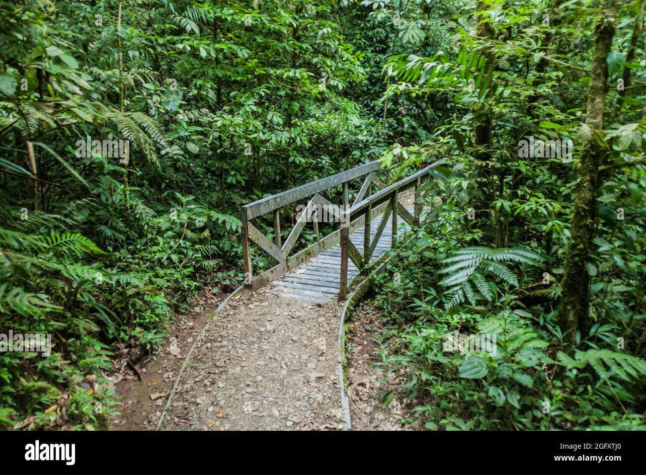 Bosque trail hi-res stock photography and images - Alamy