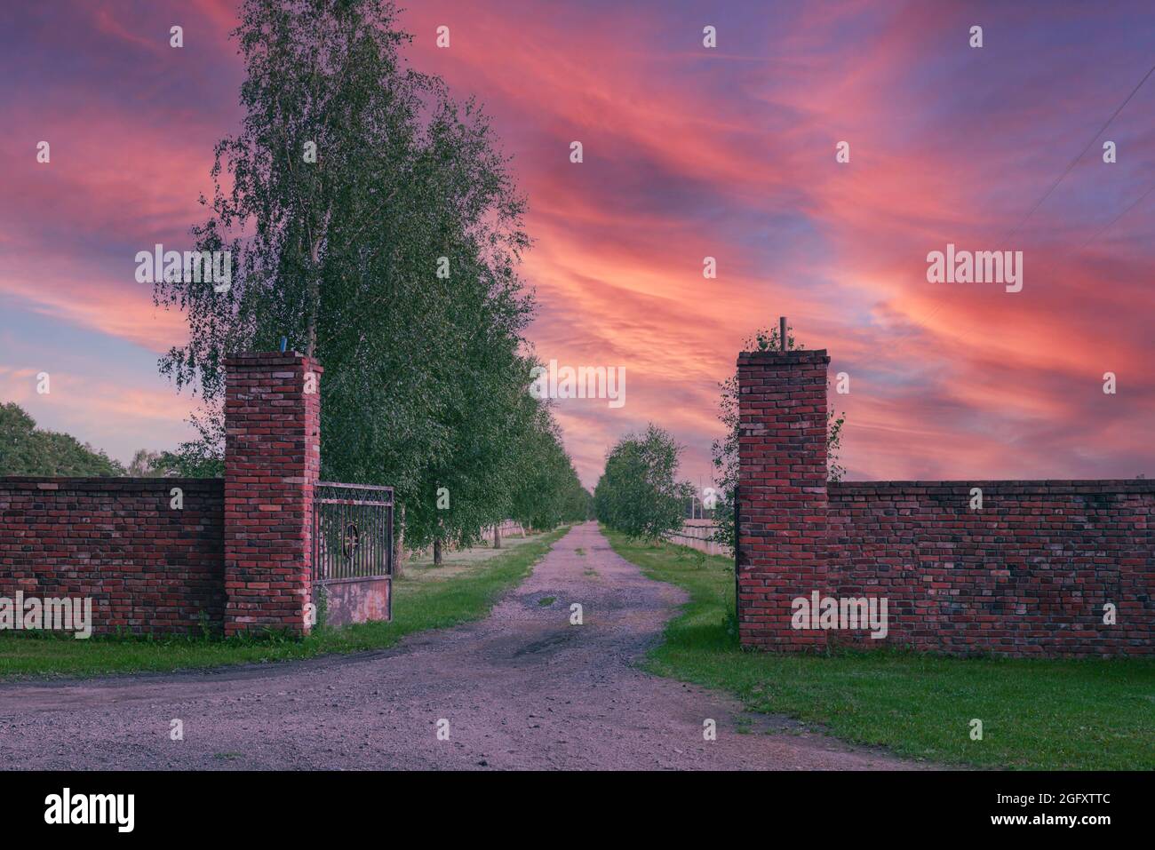 A gate behind which there is a dirt road. Grass and a row of trees grow ...