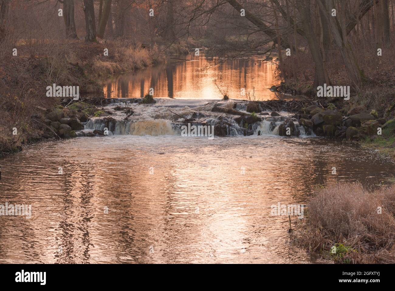 A waterfall on a small lowland river that flows through a deciduous ...