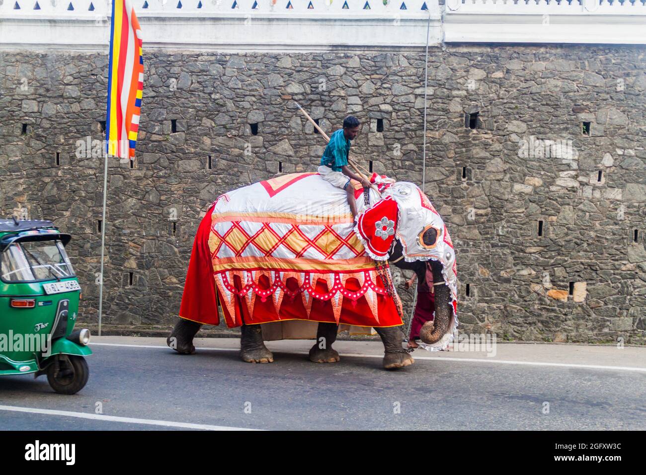 KANDY, SRI LANKA - JULY 19, 2016: Decorated elephant on a street of ...