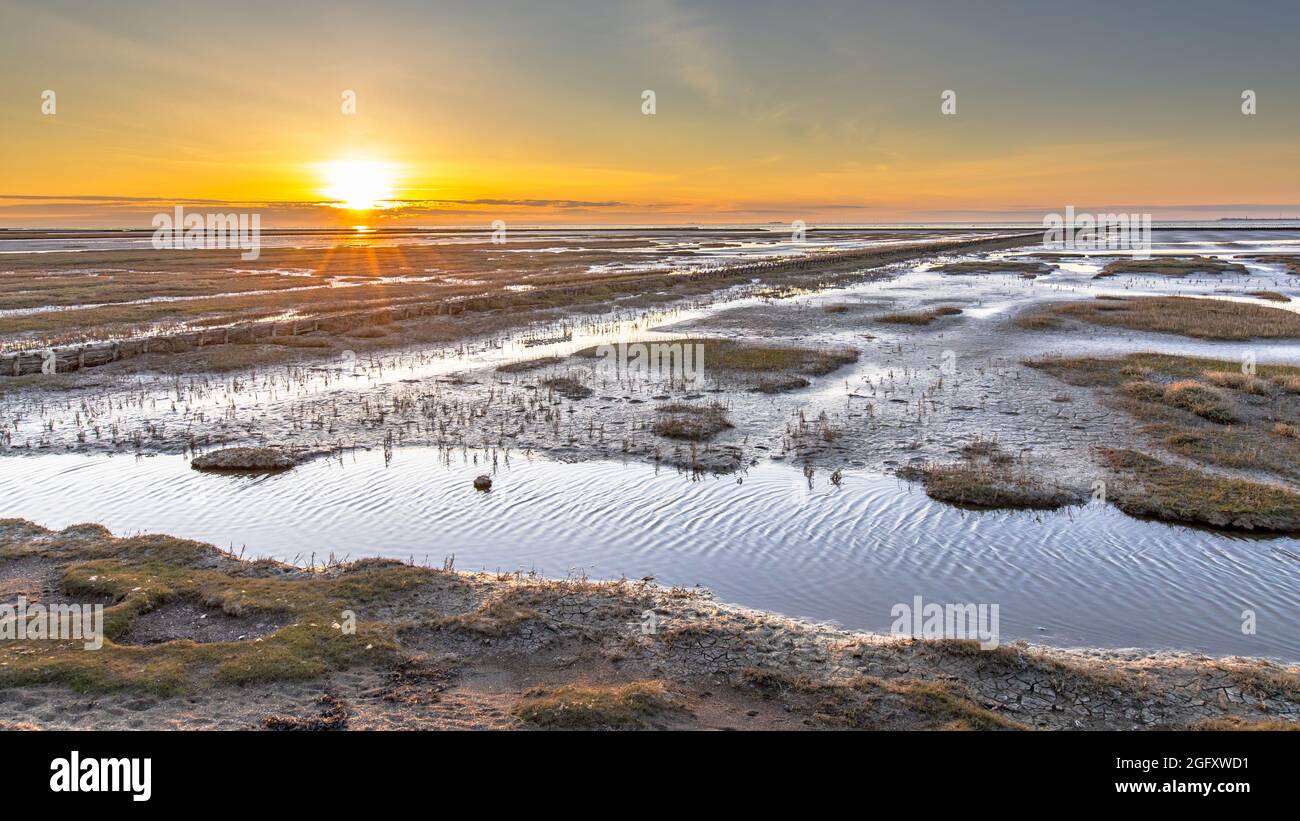 Aerial view salt marsh sunrise hi-res stock photography and images - Alamy