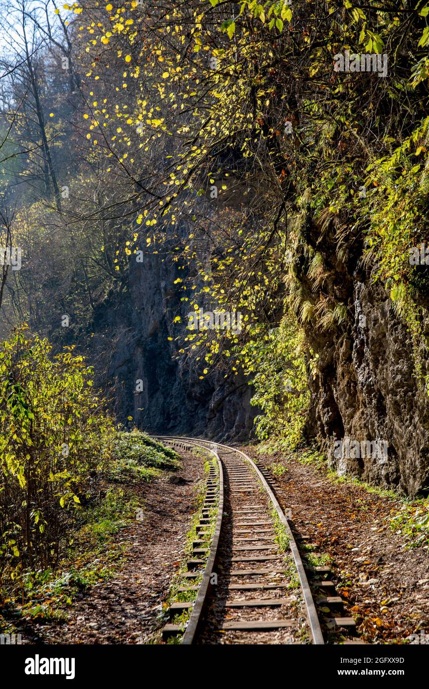 Rail in nature hi-res stock photography and images - Alamy