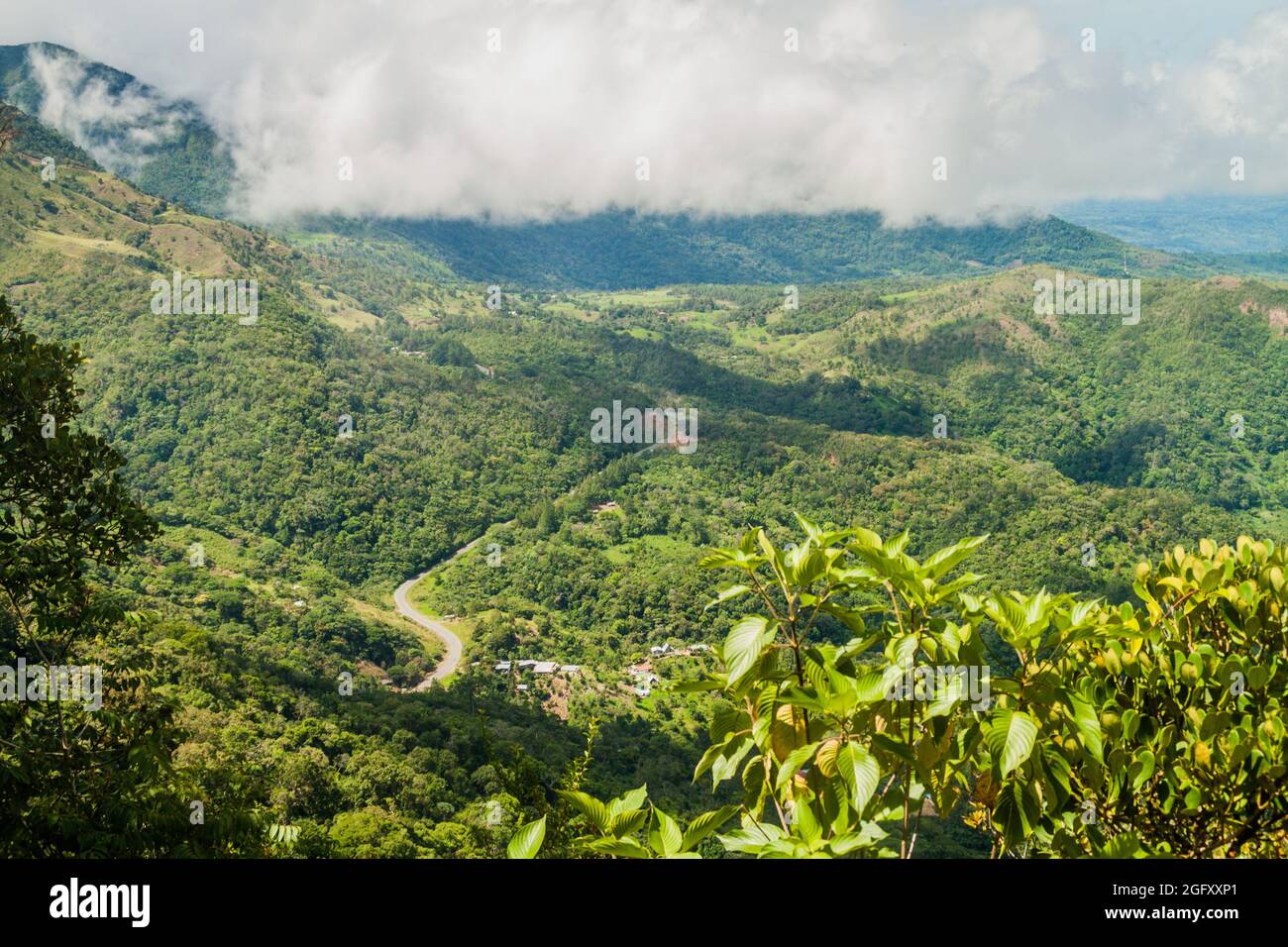 Panama Rainforest Mountains
