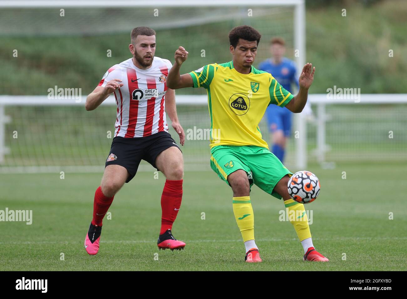 Patrick almond hi-res stock photography and images - Alamy