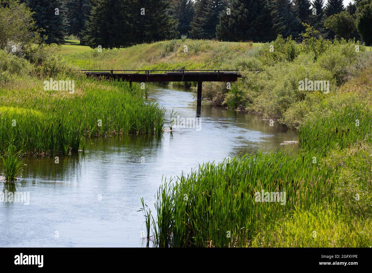Green field with the blue river going through it Stock Photo - Alamy