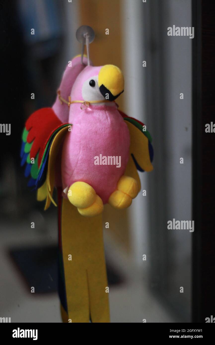 The beautiful toy yellow macaw Stock Photo - Alamy