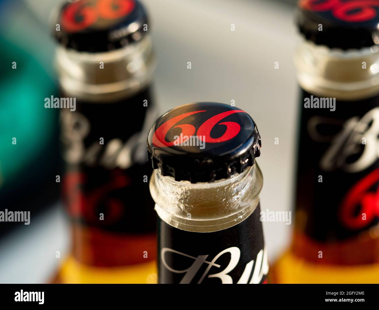 Bud 66 beer bottles in store. This beer produce by Anheuser-Busch, ink ...