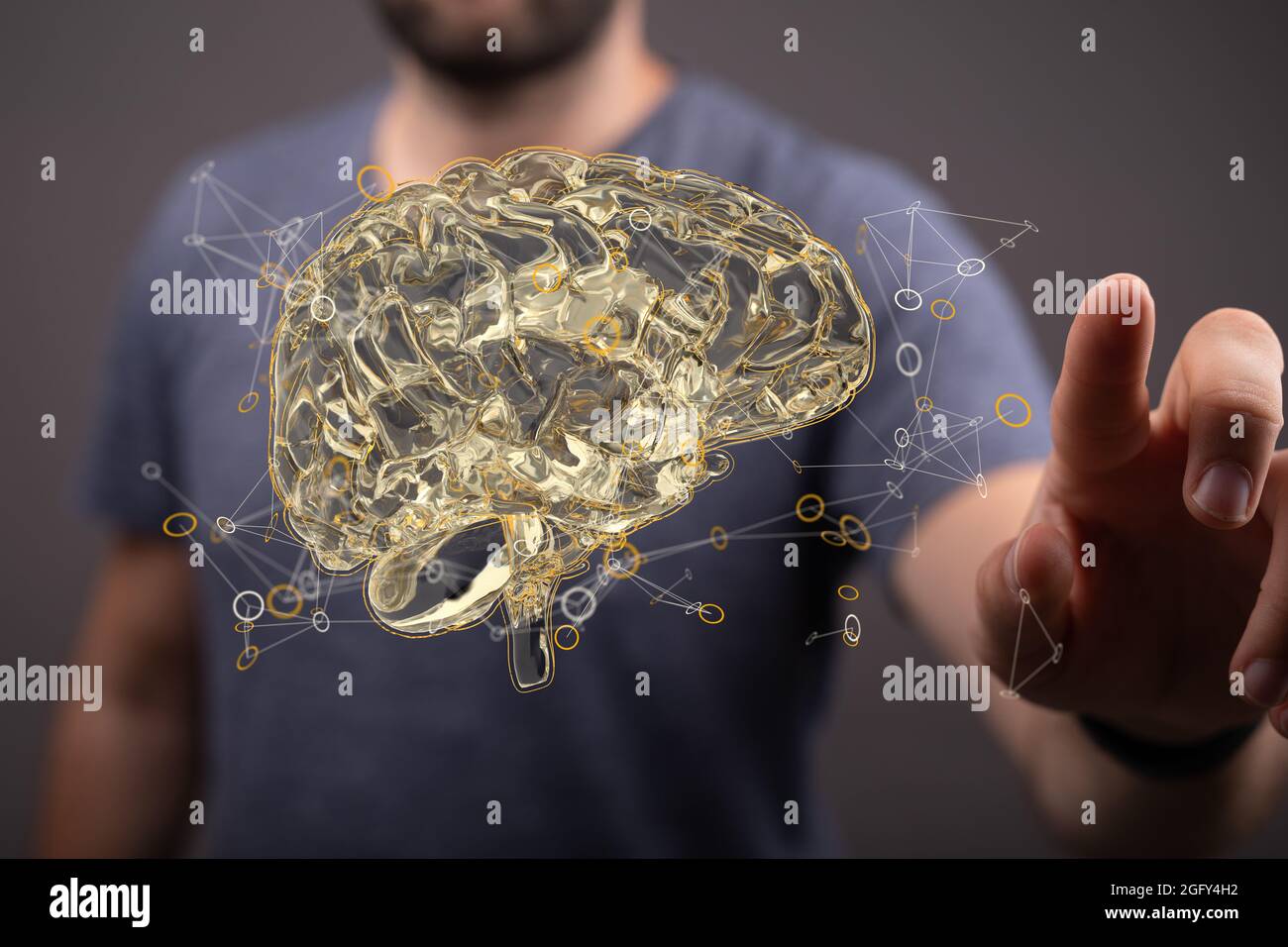 Anatomia cerebral hi-res stock photography and images - Alamy