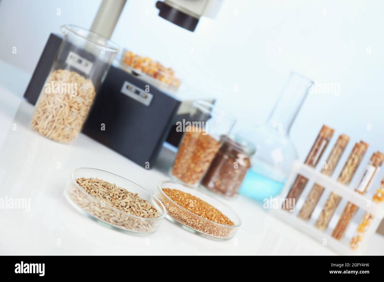 Food laboratory. Test for pesticides in seeds of agricultural plants ...