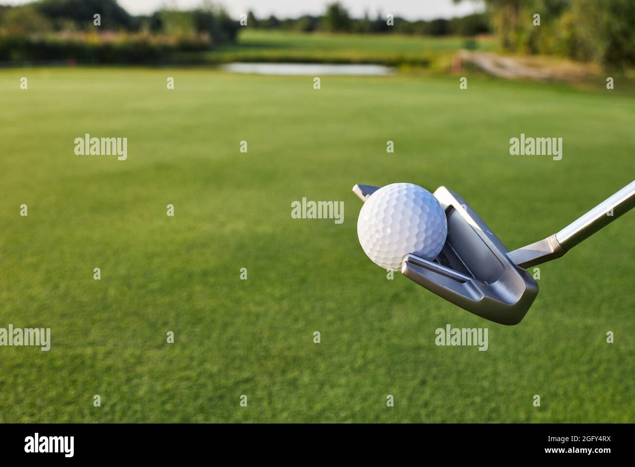 Putter with white golf ball, close-up. Fairway of golf course with ...