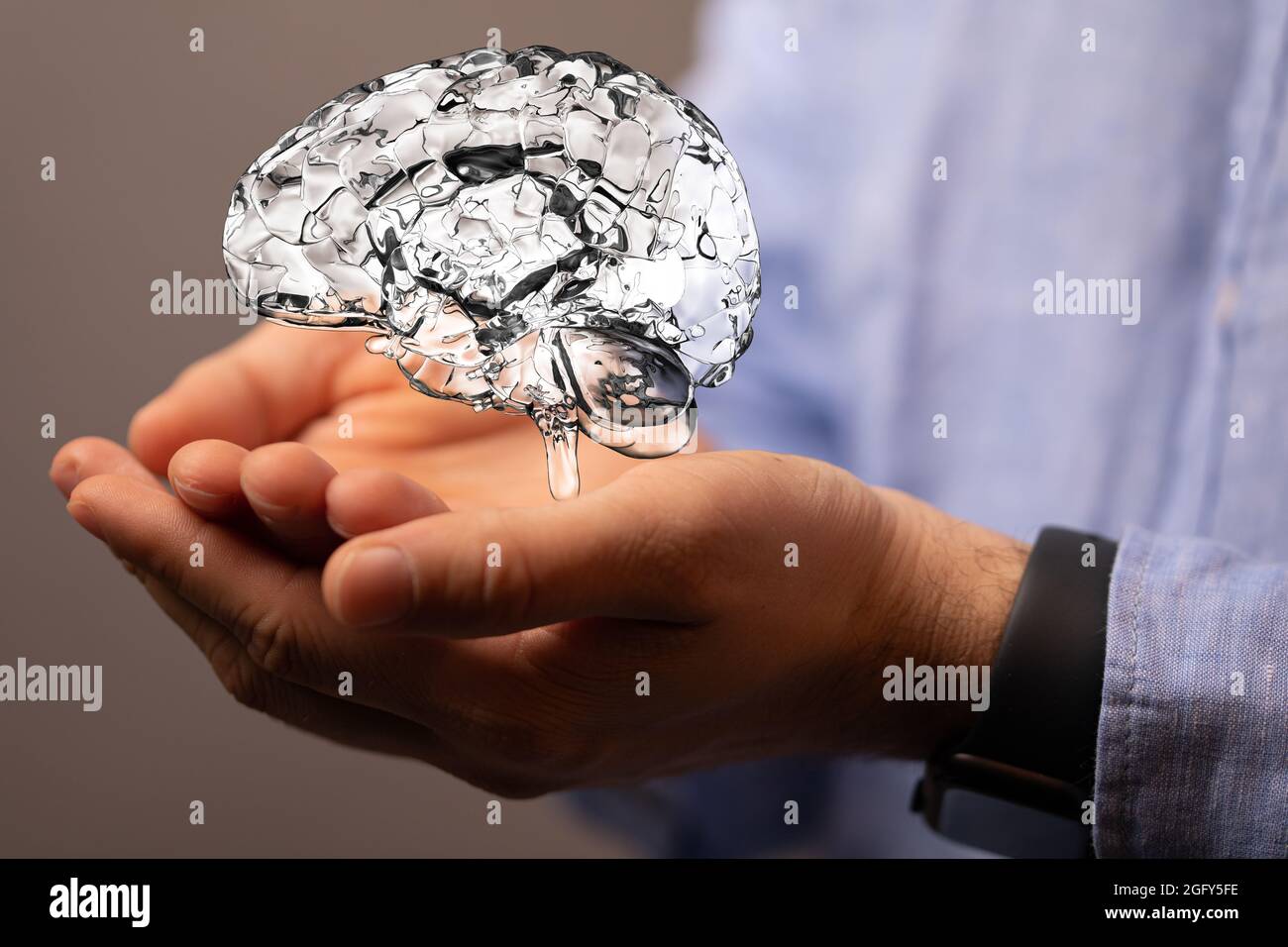Anatomia cerebral hi-res stock photography and images - Alamy