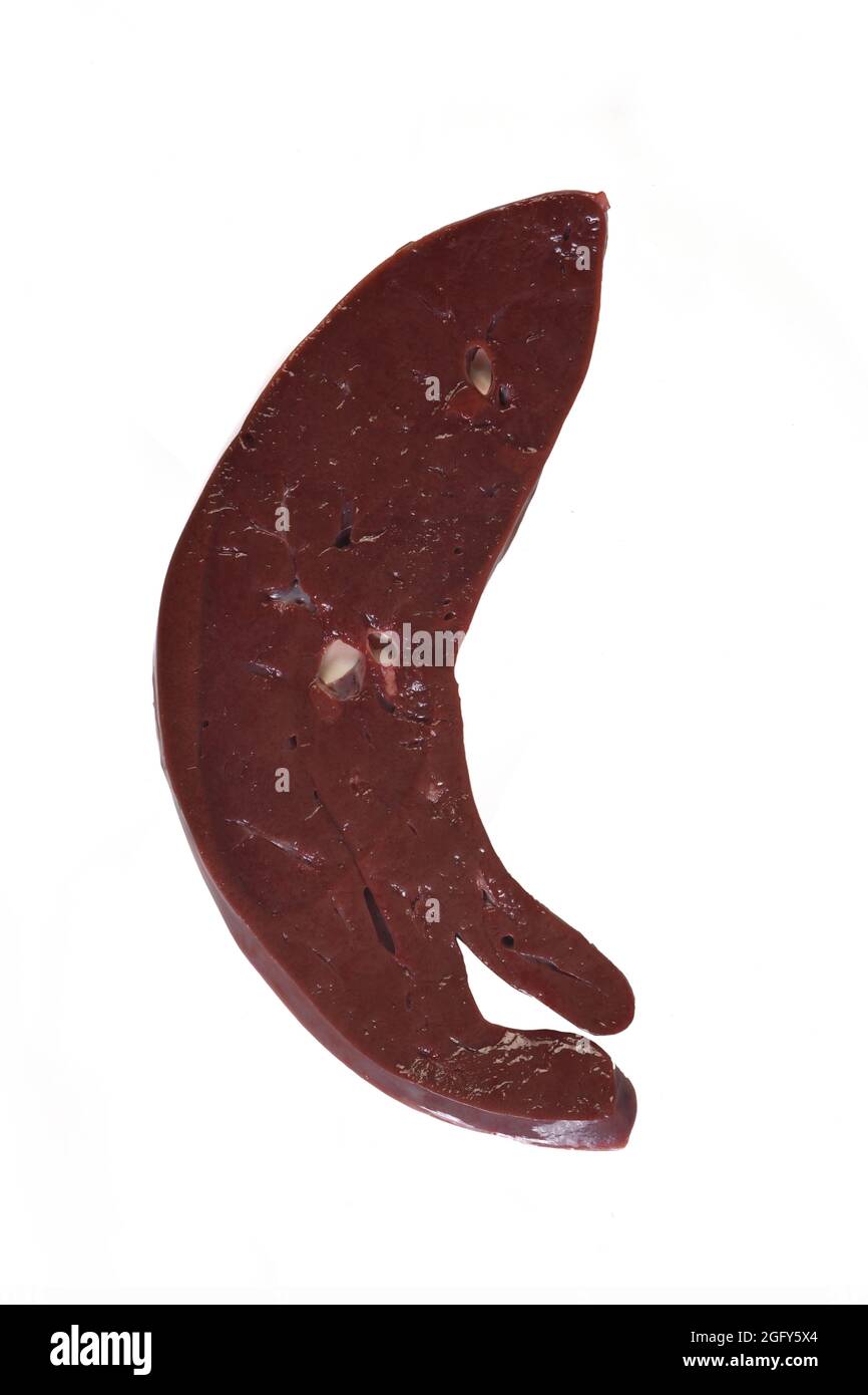 beef liver isolated on white background Stock Photo - Alamy