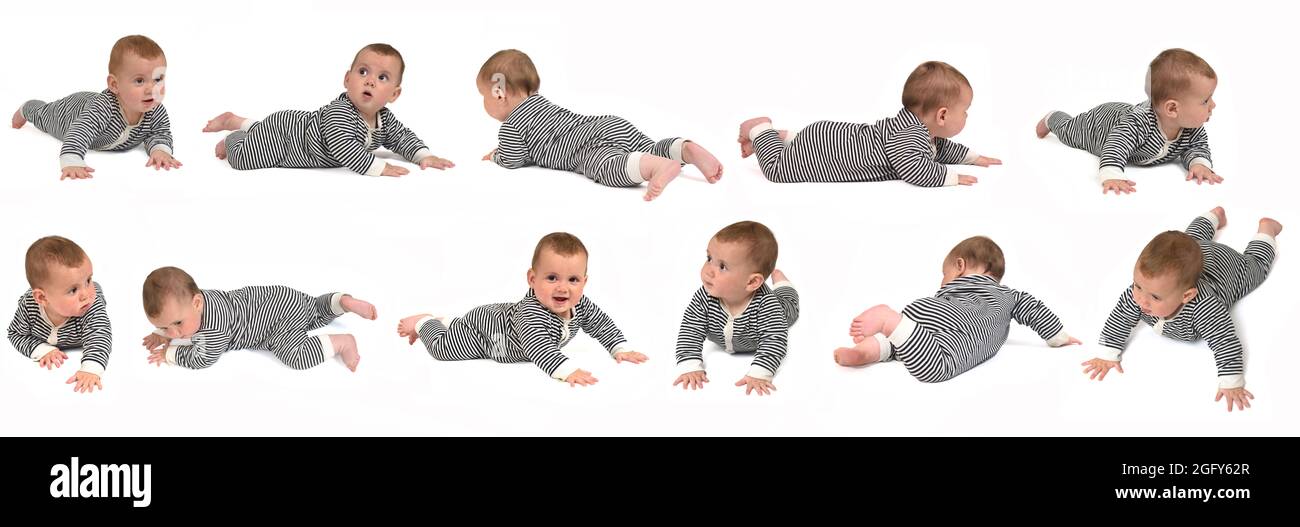 group of same baby crawling on the floor on white background Stock ...