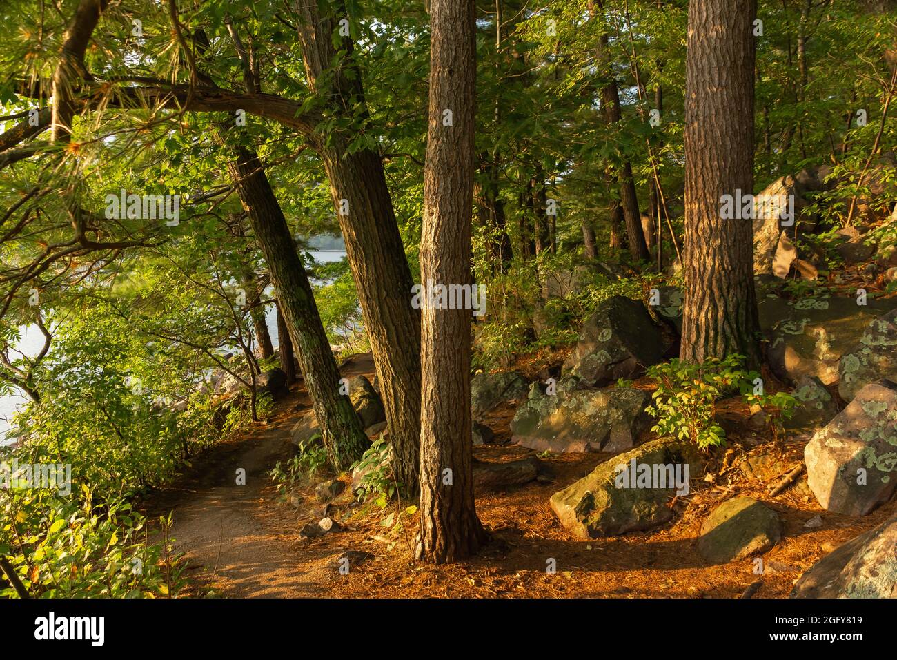 The Tumbled Rocks Trail at sunrise. Devil's Lake State Park, Wisconsin ...