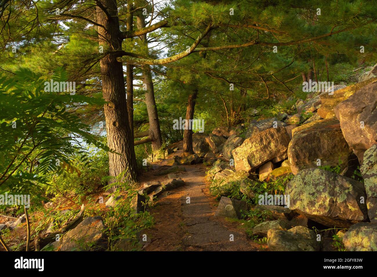 The Tumbled Rocks Trail at sunrise. Devil's Lake State Park, Wisconsin ...