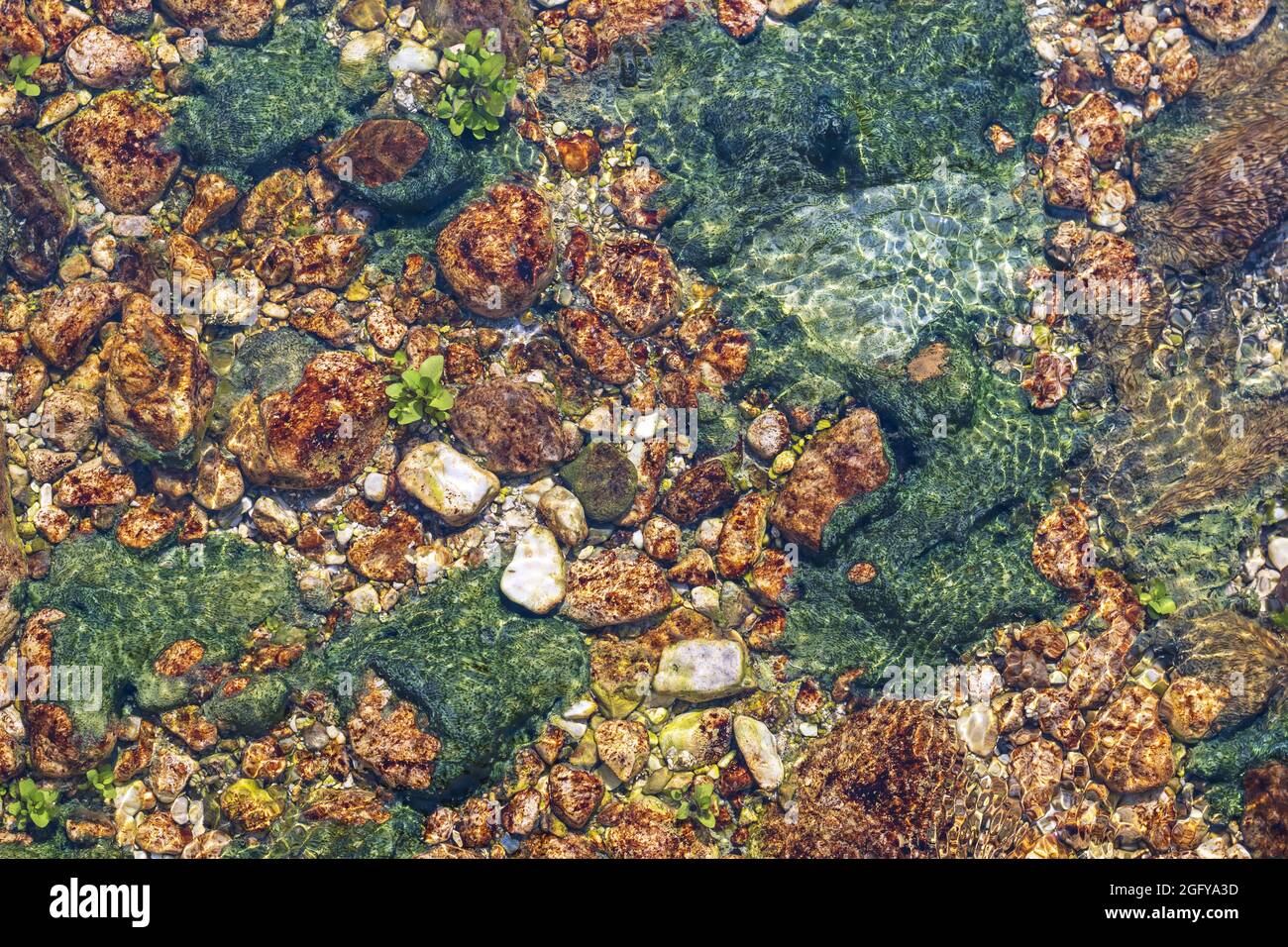Muddy bottom detail hi-res stock photography and images - Alamy