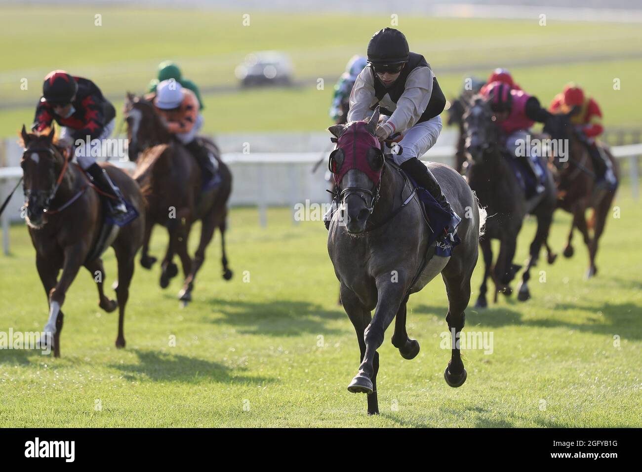 Goodnight Girl ridden by Mikey Sheehy (centre) on the way to winning ...