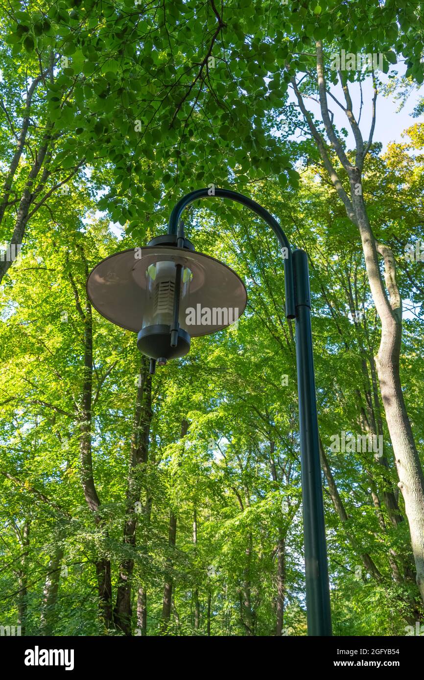 Vertical shot of a street light in a park with trees in the background ...