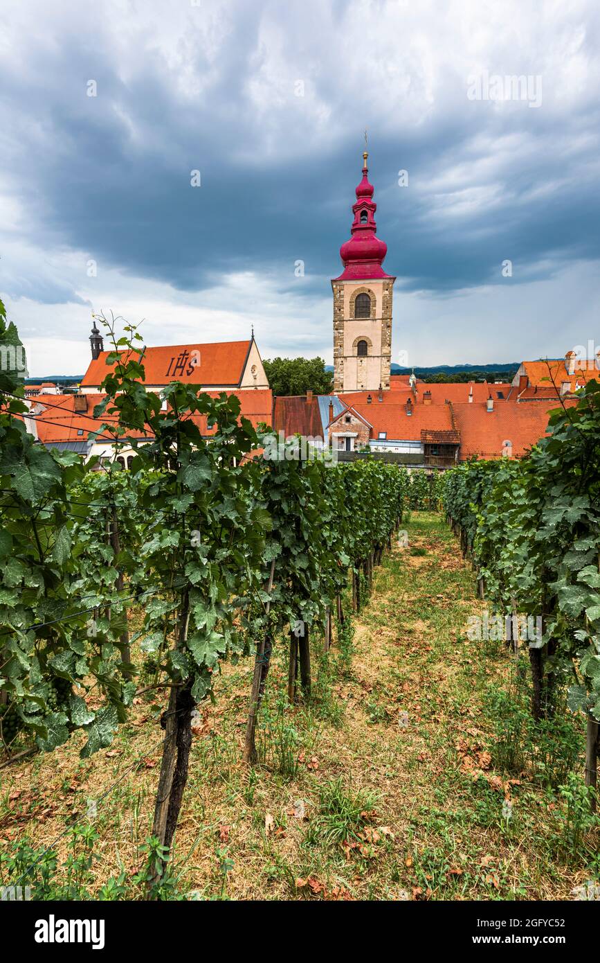 Old Vineyard in Ptuj Slovenia Oldest City Stock Photo - Alamy